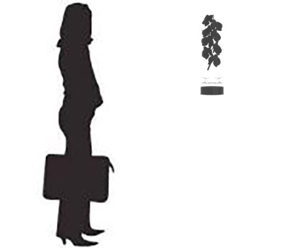 Collections – Jeremy Cole